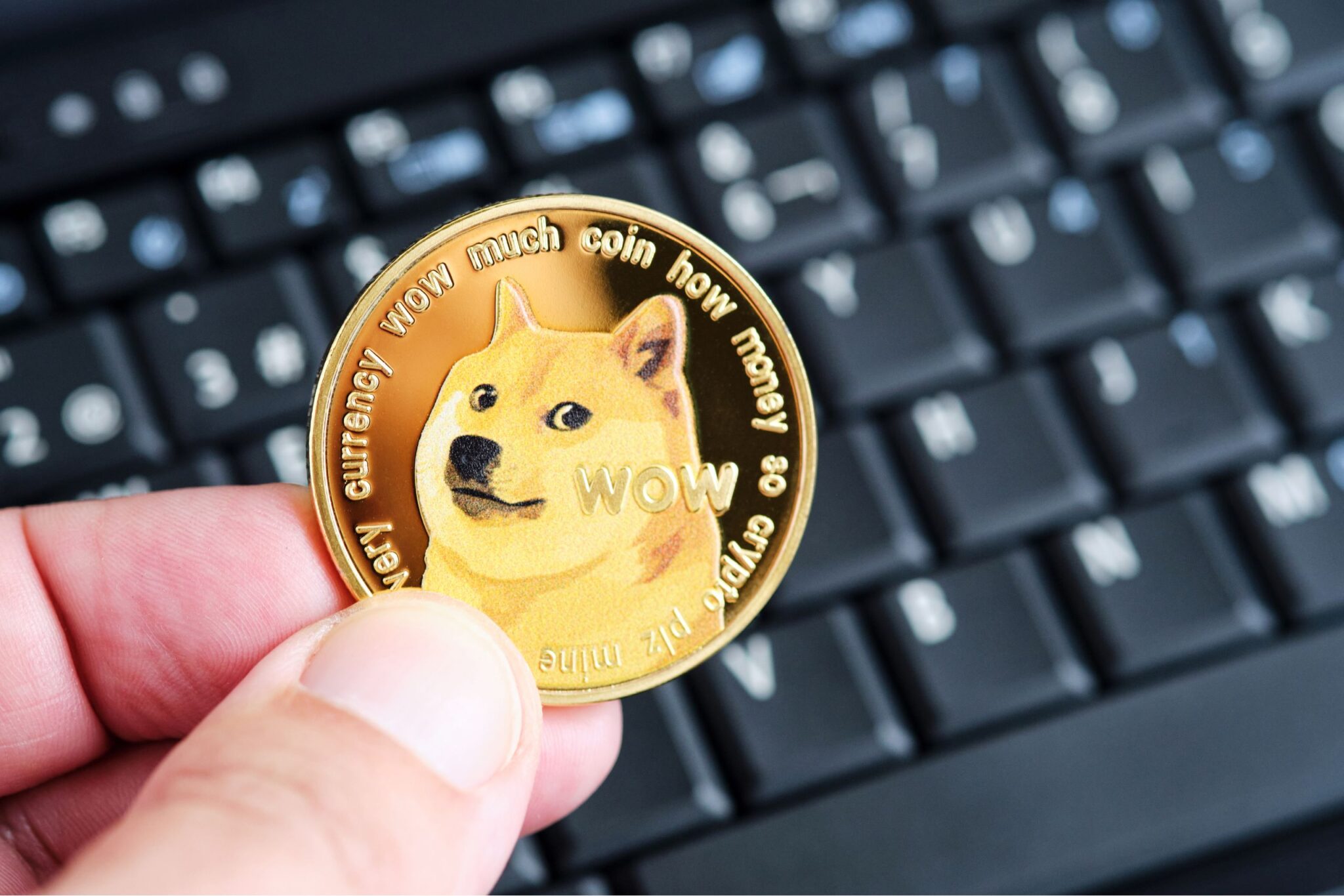 Shiba Inu: An In-Depth Look At Its Recent Performance
